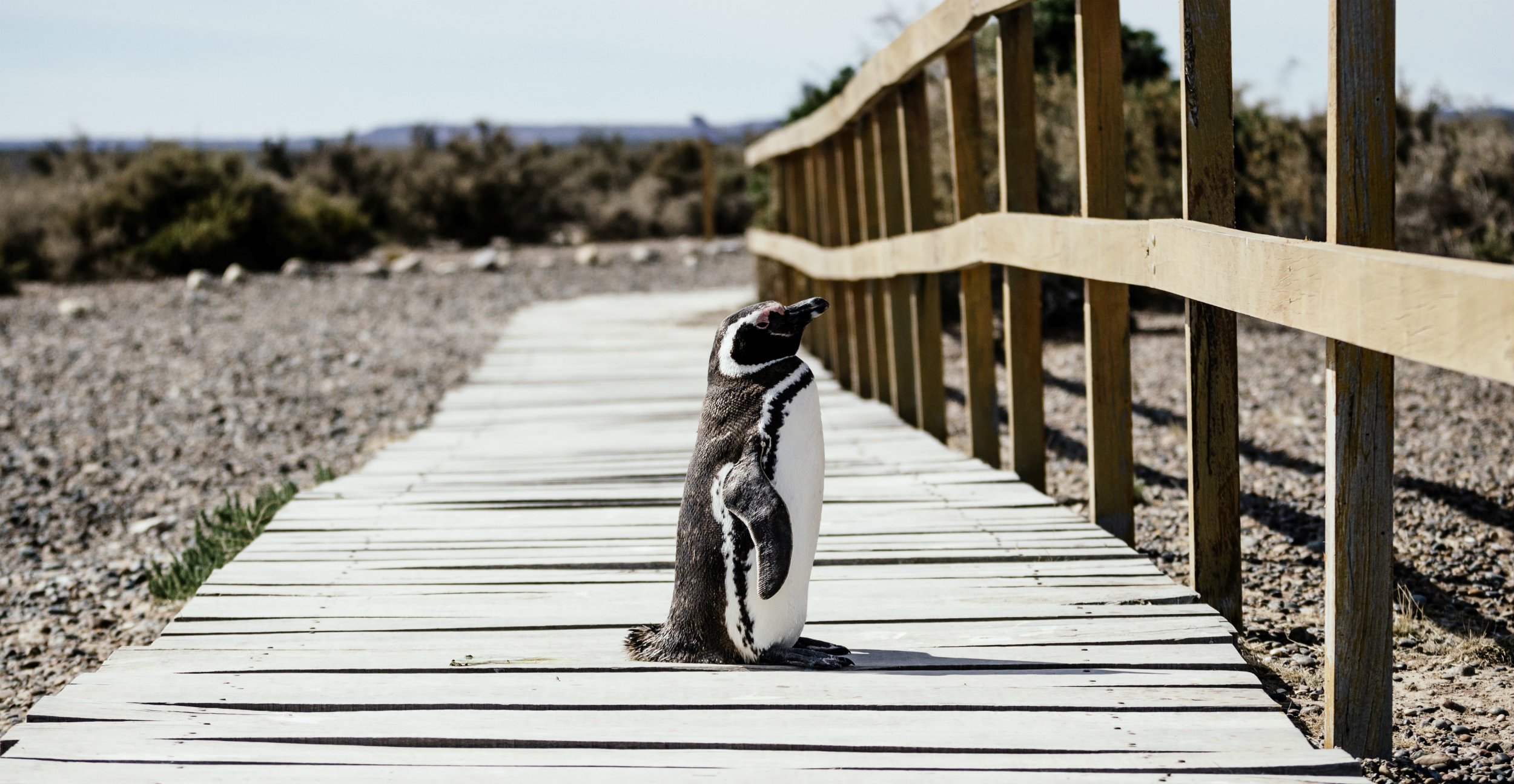 Usage KPIs Surpass Most Business KPIs - Onvey